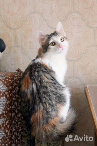 Лёля во всей красе