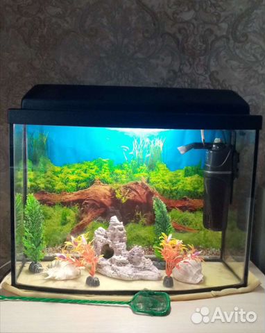 Аквариум