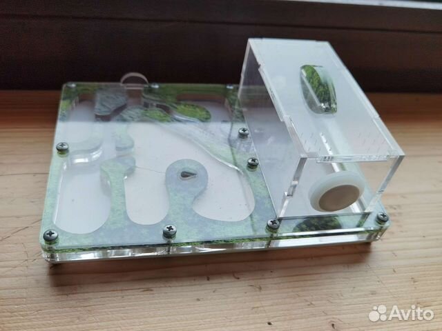 Муравьиная ферма бу