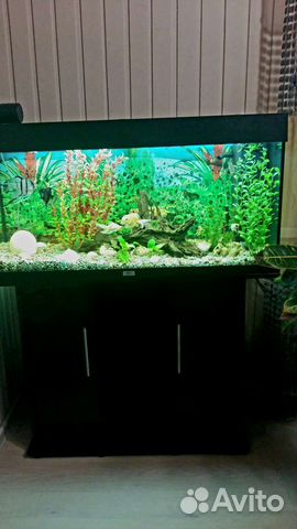 Аквариум