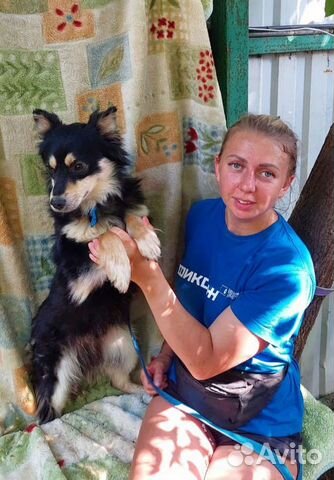 Шкодик,активный ждёт родителей