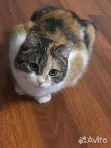 Просто Маруся (можно- Муся)