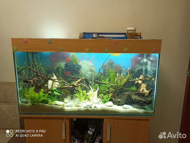 Аквариум с рыбками и тумбой