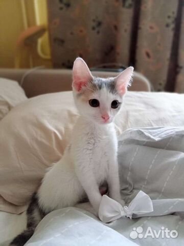 Красотулька