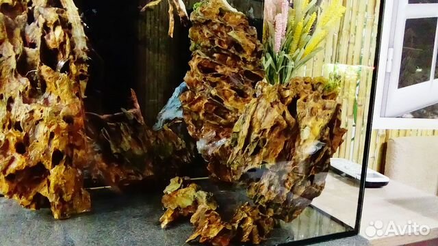 Аквариум с драконьем камнем