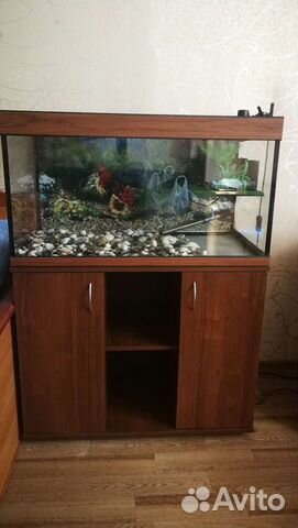Аквариум с тумбой 200 литров