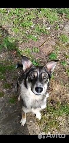 Молодой мальчишка в добрые руки