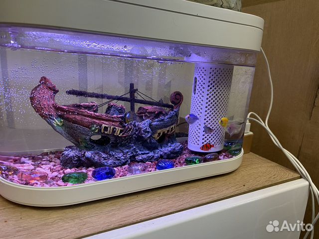 Акваферма xiaomi