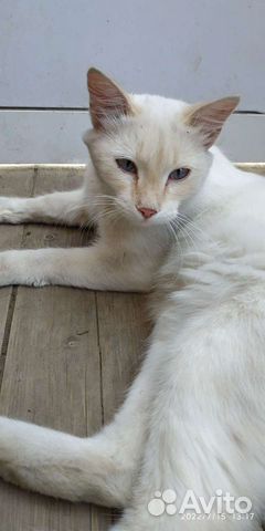 Голубоглазый блондин