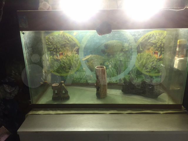 Аквариум