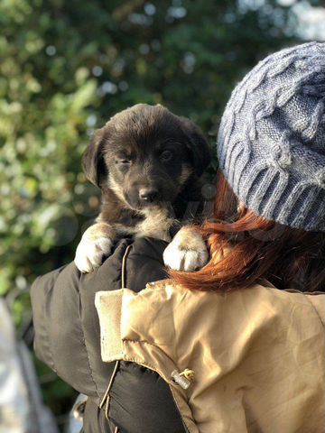 Пухляш Мальчик