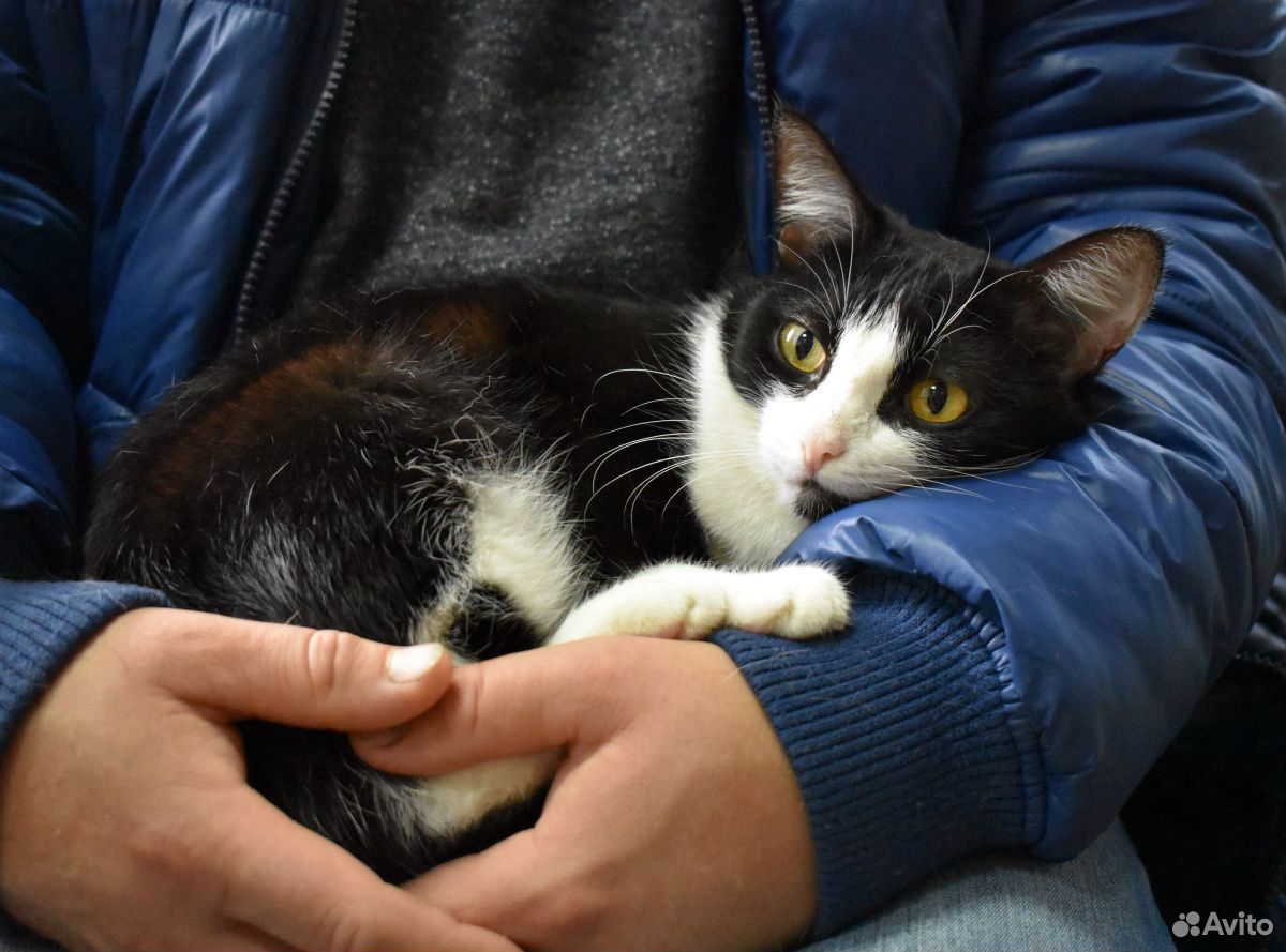 Прекрасная Люся ищет дом